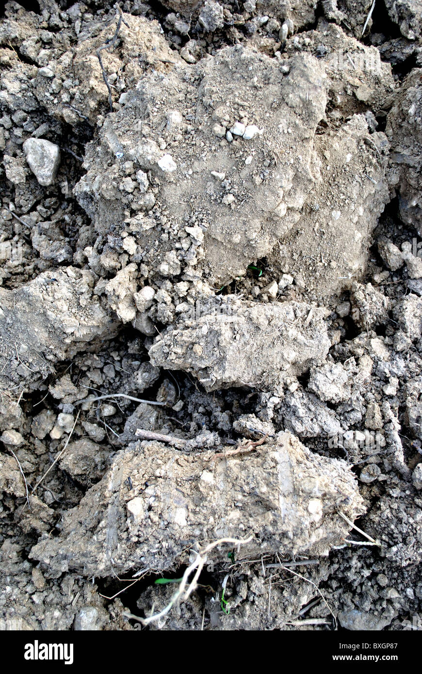 clod of earth after the ground preparation for planting vegetables like ...