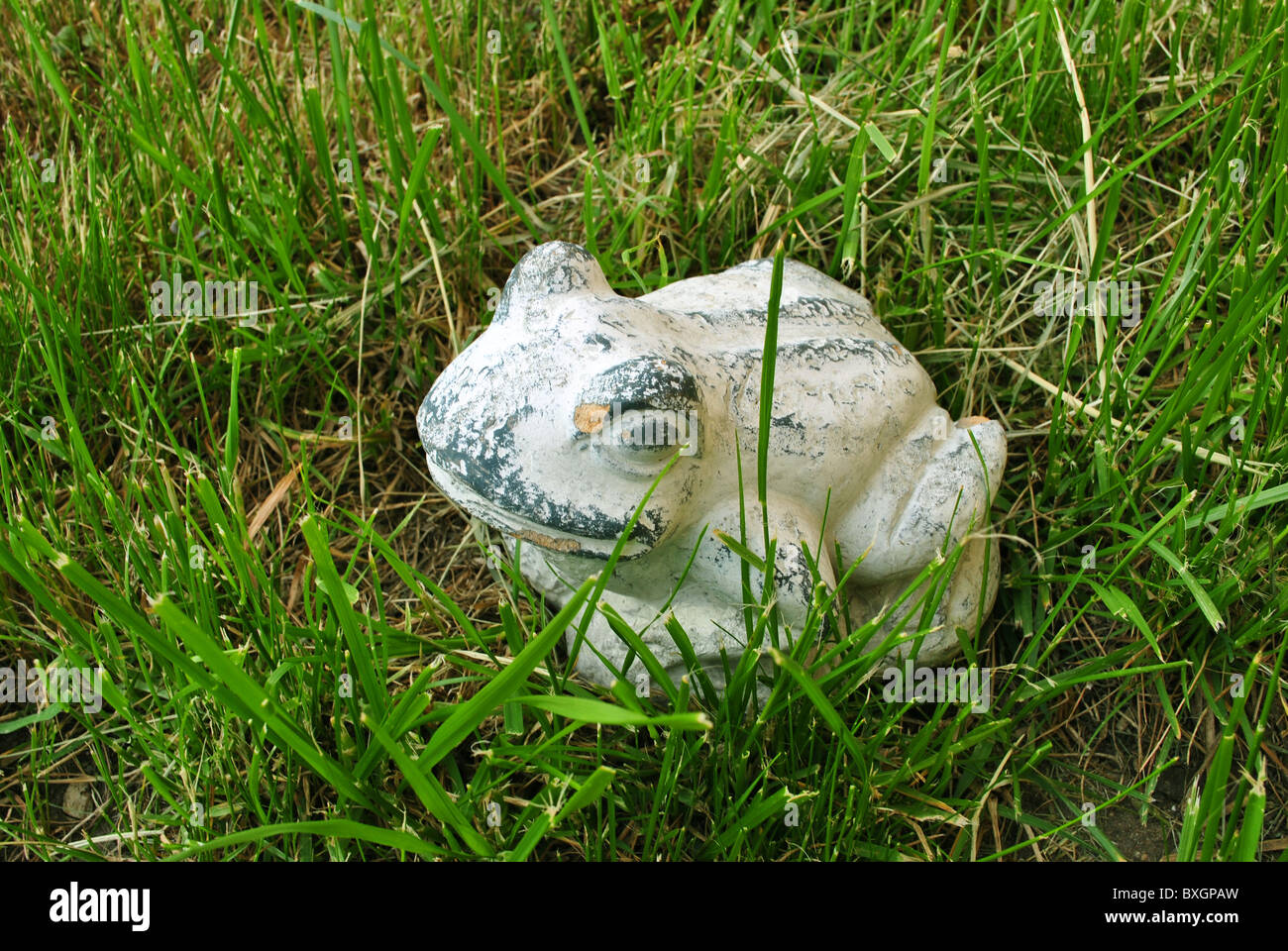 frog plaster lawn in the spring built by craftsman Stock Photo - Alamy