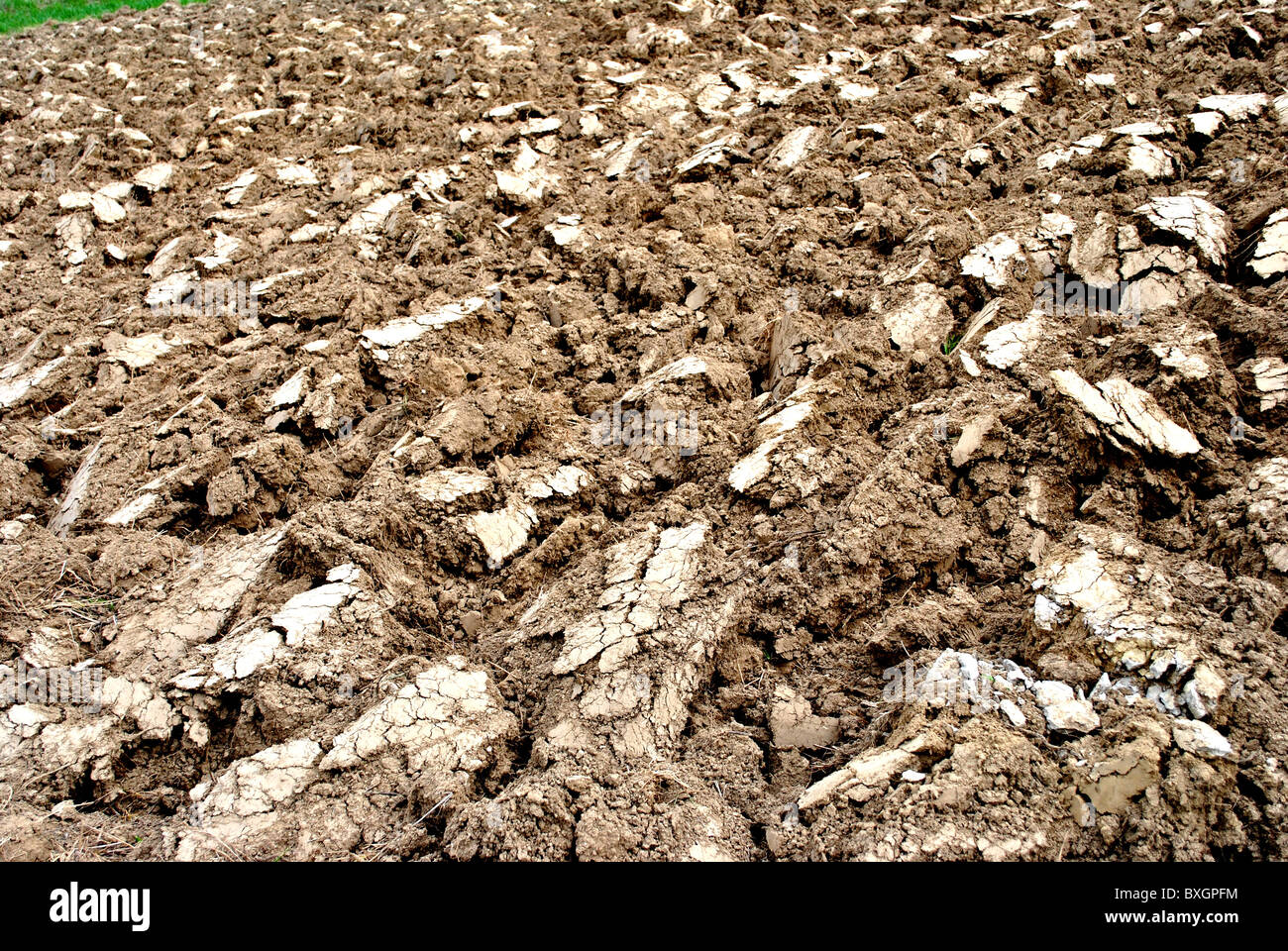 tractor to plow the land for processing and vegetable preparation area Stock Photo - Alamy