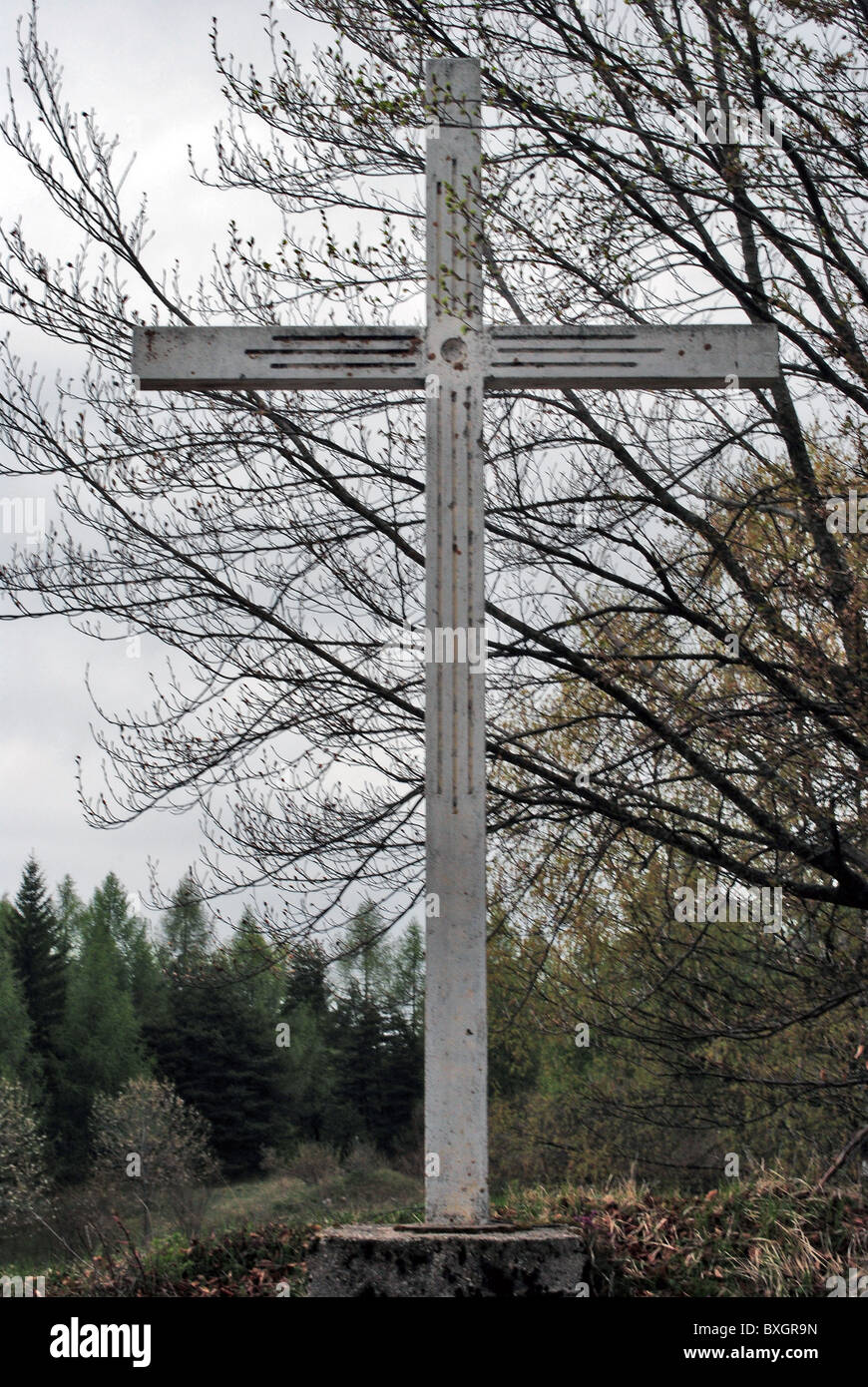 stone cross in larch and fir trees in spring Stock Photo - Alamy