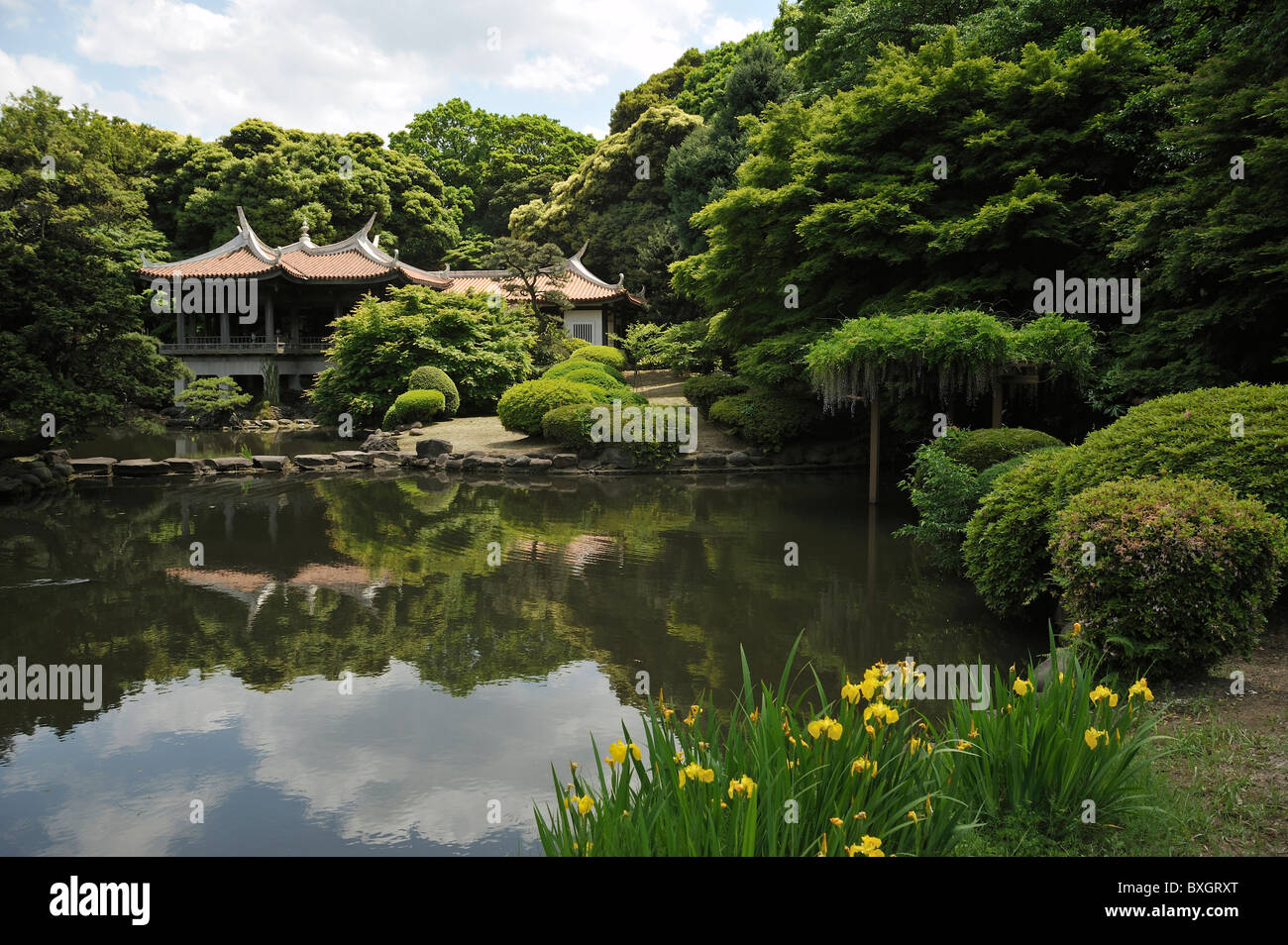 Traditional Japanese tea house in Shinjuku Park, Tokyo, Japan Stock ...