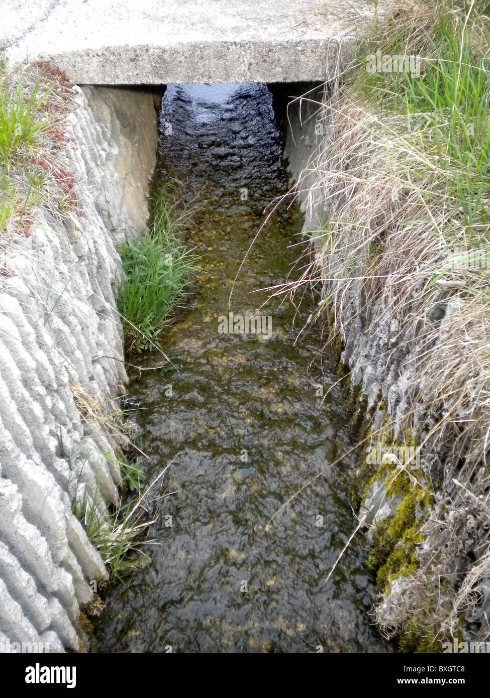 foam water source created by pristine alpine Stock Photo - Alamy