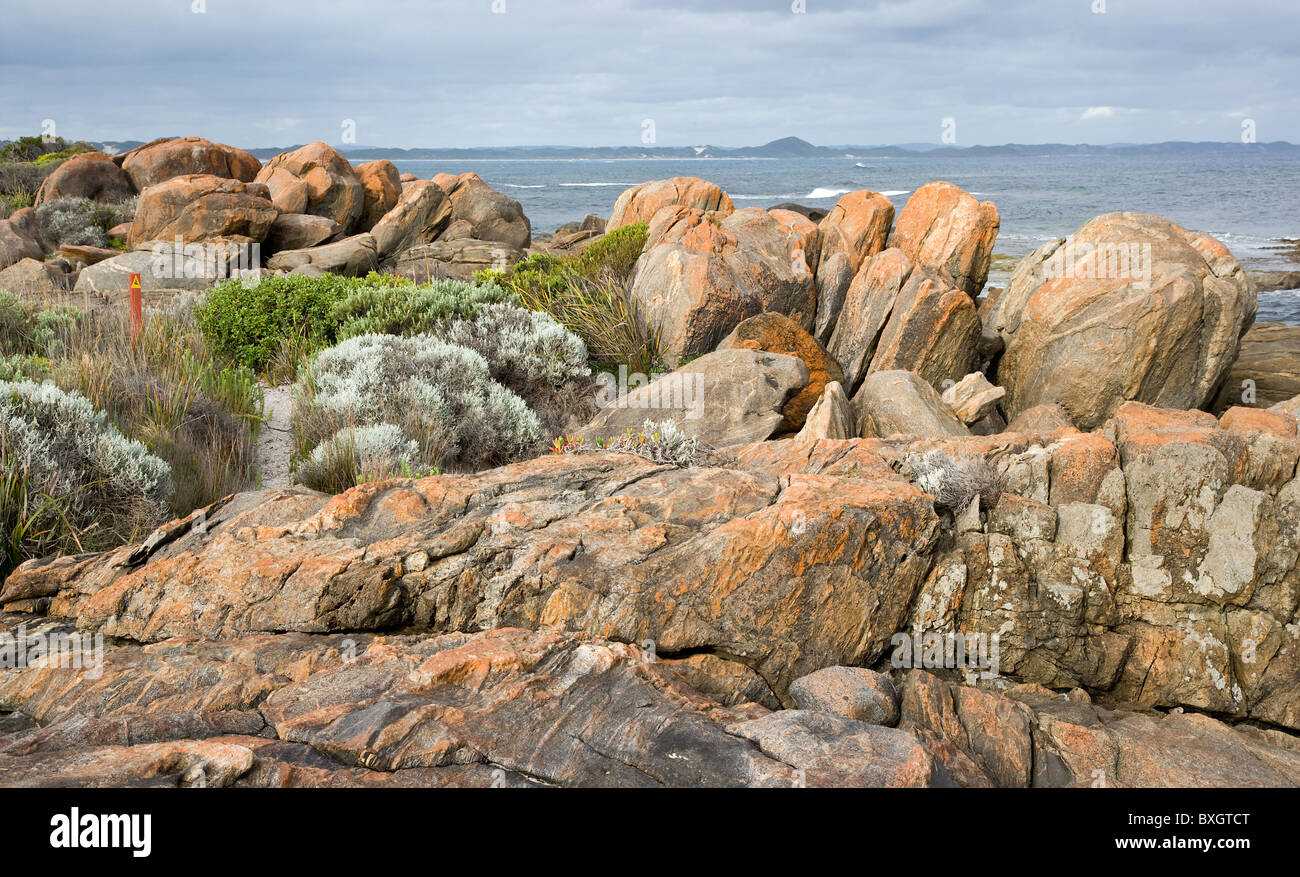 Bibbulmun track hi-res stock photography and images - Alamy