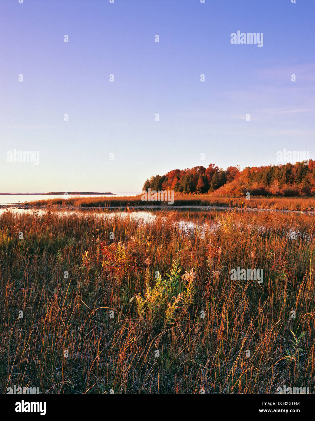 Shoreline marsh at sunset, Peninsula State Park, Wisconsin, USA Stock ...