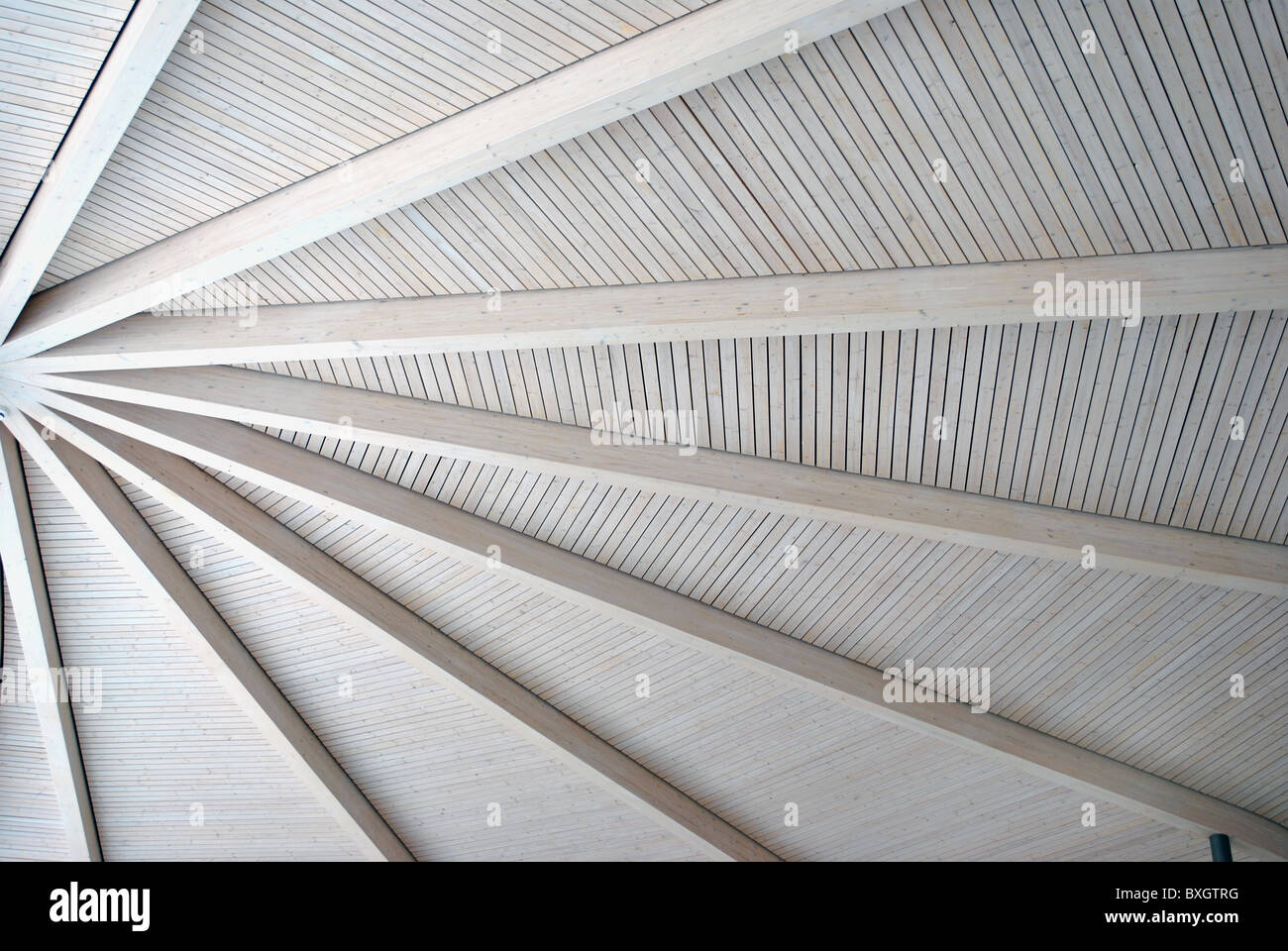 attic fir wood beams and windows with modern aluminum structure Stock ...