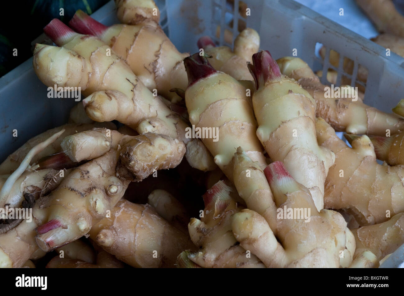 Asian root vegetable hi-res stock photography and images - Alamy