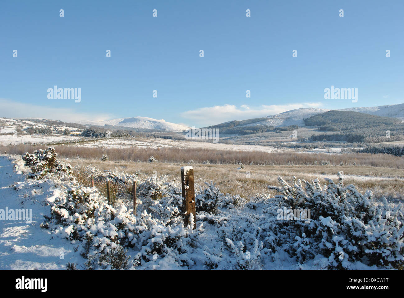 winter in ireland Stock Photo - Alamy
