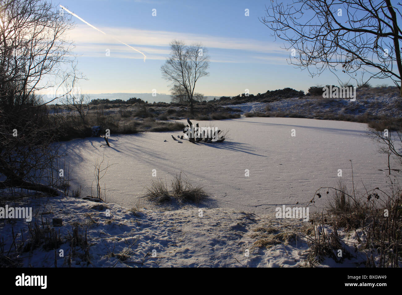 Pond frozen hi-res stock photography and images - Alamy
