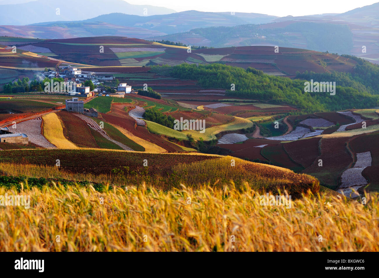 Village on colorful red land in Yunnan Province, southwest of China ...