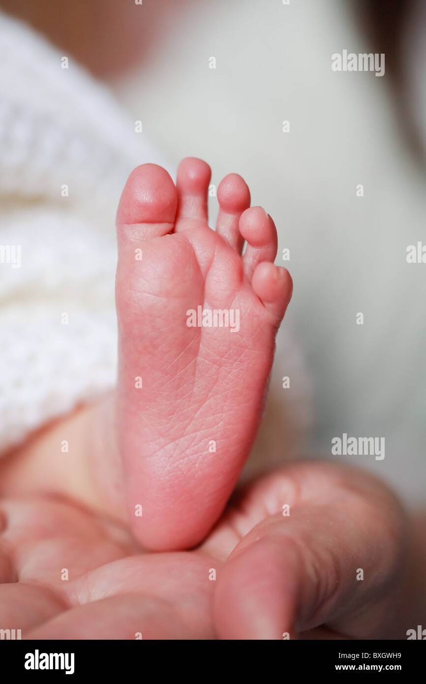 adorable newborn baby feet Stock Photo - Alamy