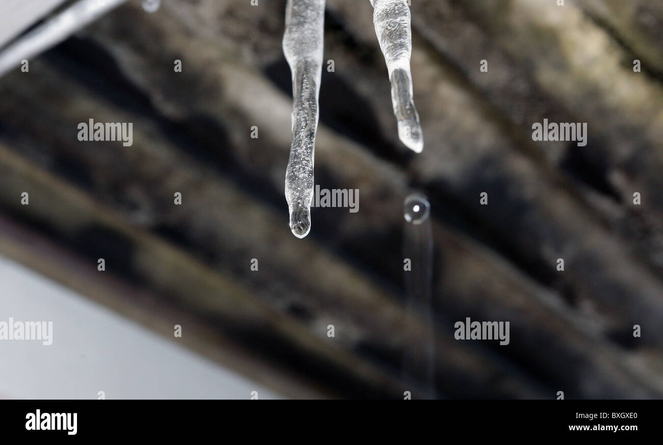 Melting Icicles drip water from a shed roof Stock Photo - Alamy
