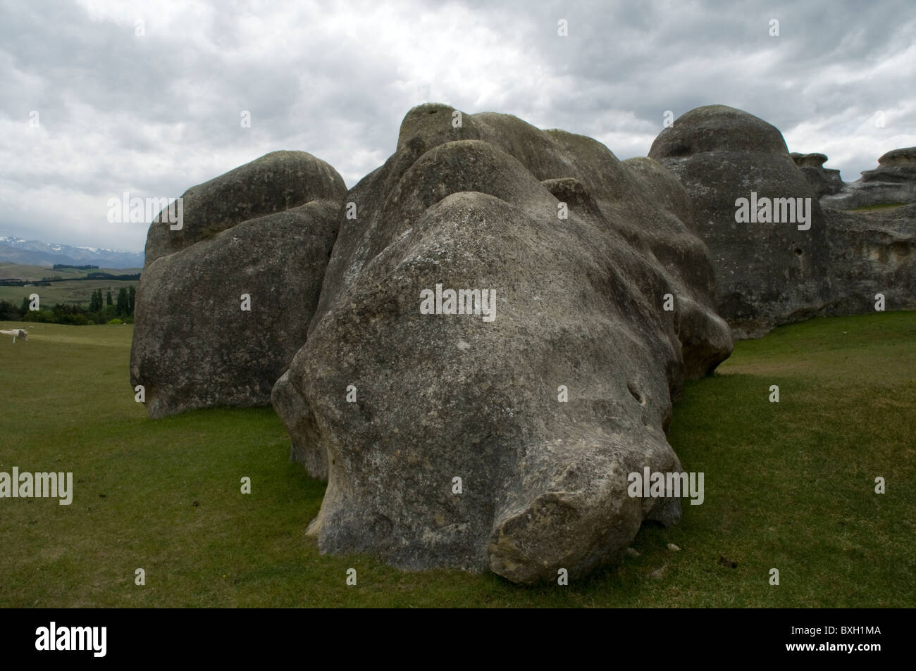The Elephant Rocks of the New Zealand Waitaki Valley are limestones ...