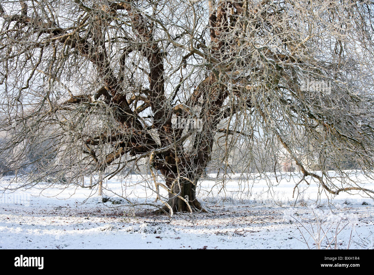 Snow on Irish roads, County Limerick, Ireland 2010 Stock Photo - Alamy