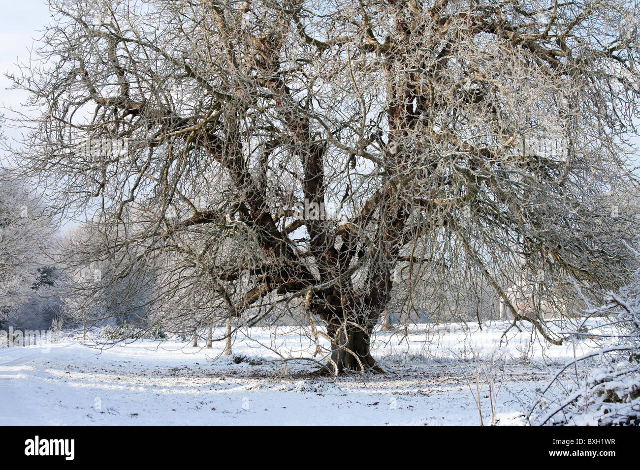 Snow on Irish roads, County Limerick, Ireland 2010 Stock Photo - Alamy