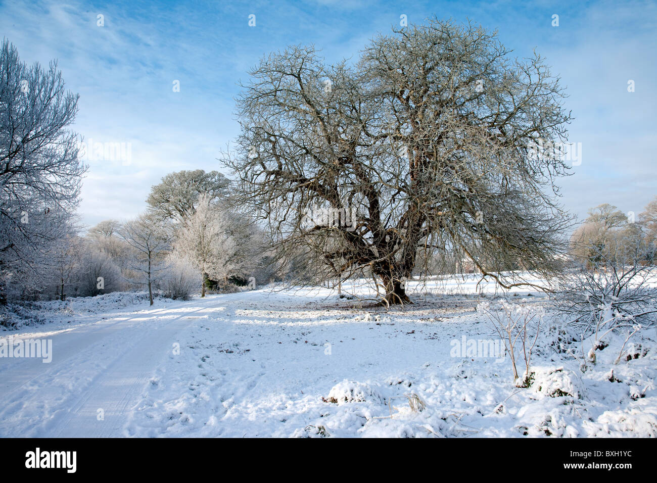 Snow on Irish roads, County Limerick, Ireland 2010 Stock Photo - Alamy