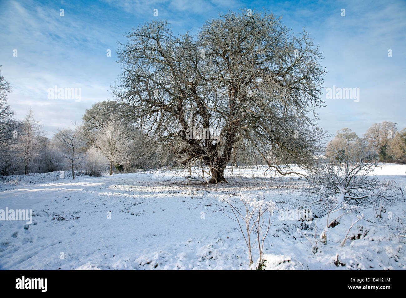 Snow on Irish roads, County Limerick, Ireland 2010 Stock Photo - Alamy