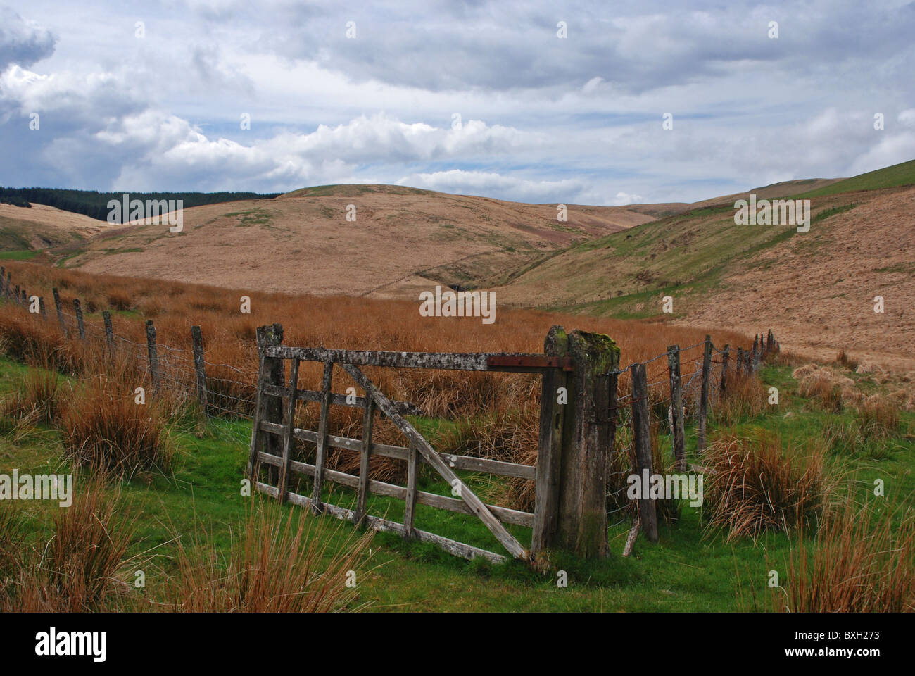 Witch gate hi-res stock photography and images - Alamy