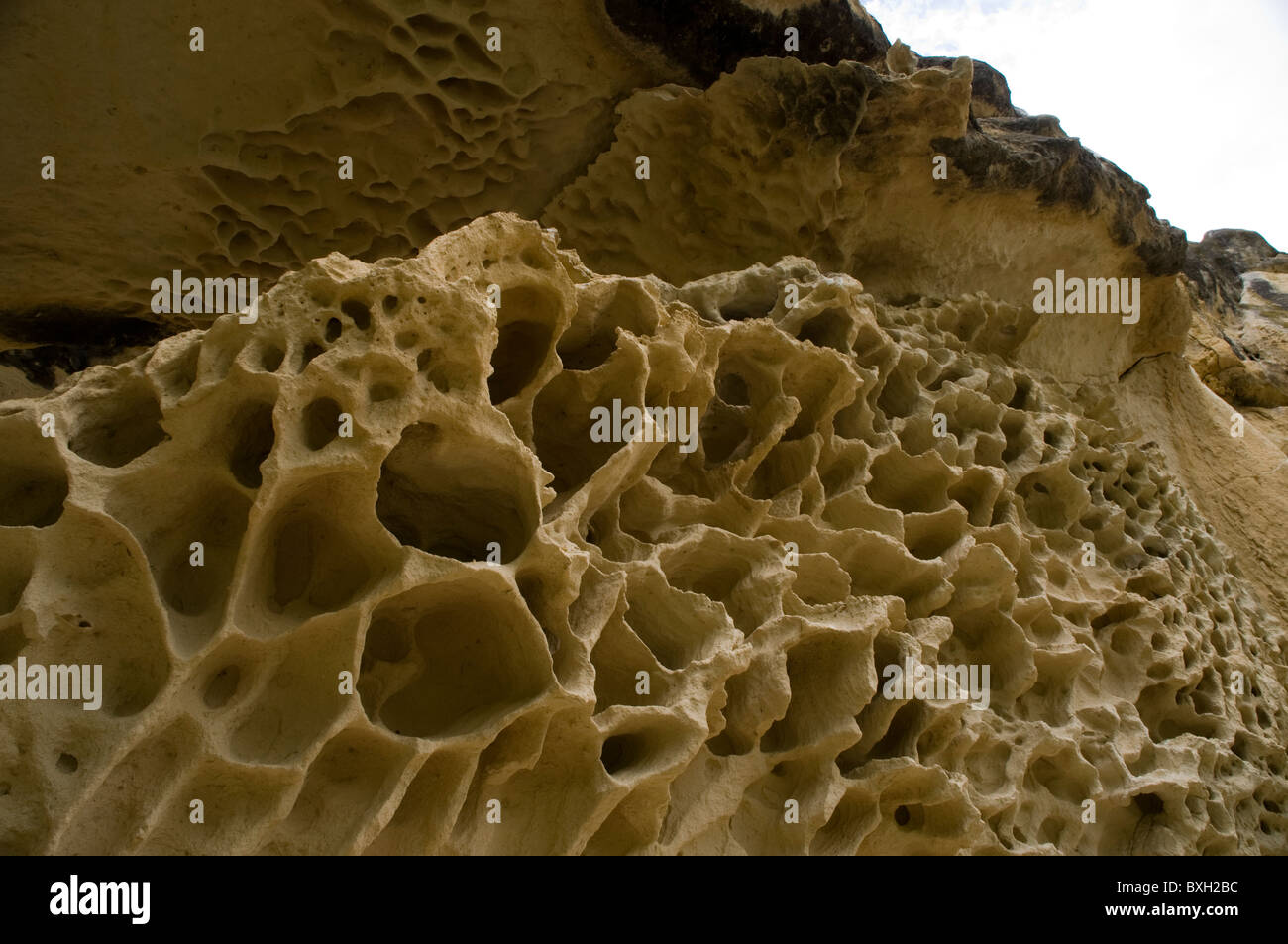 New zealand waitaki valley fossils limestones erosion erosion kalkstein ...