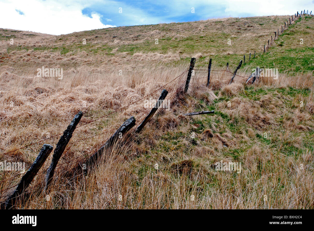 a old farm boundary fence which has seen better days and in bad need of ...