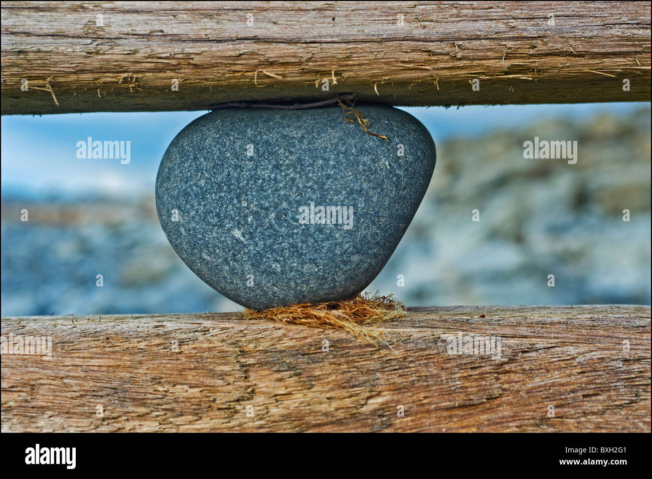 a stone stuck in a wooden sea defense on the south beach in aberaeron ...