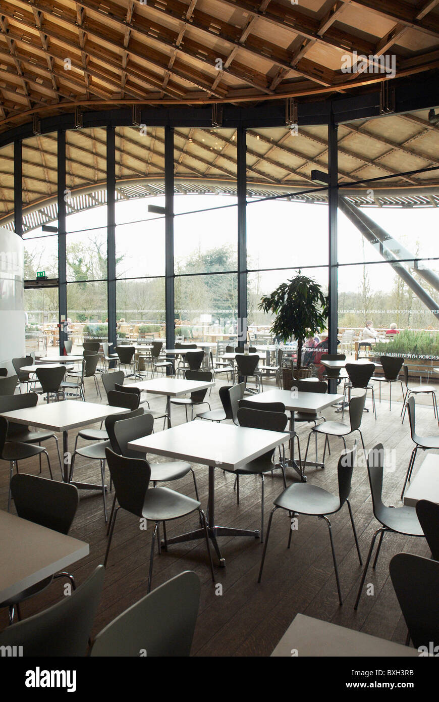 Gridshell timber roof made from renewable sources in the canteen area ...