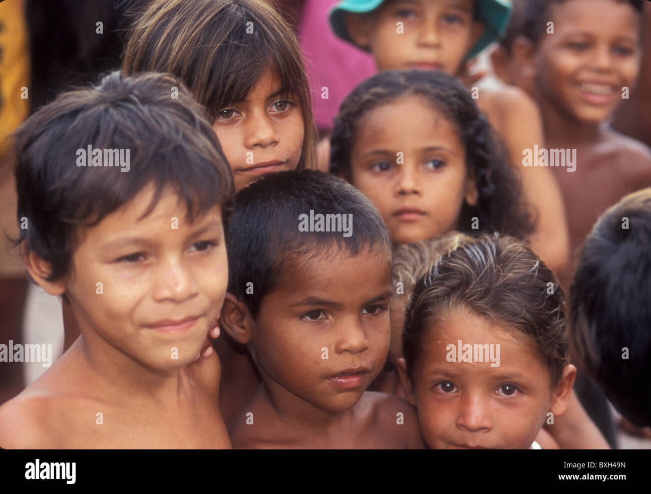 Indigenous children living along the Rio Negro River, a tributary of ...