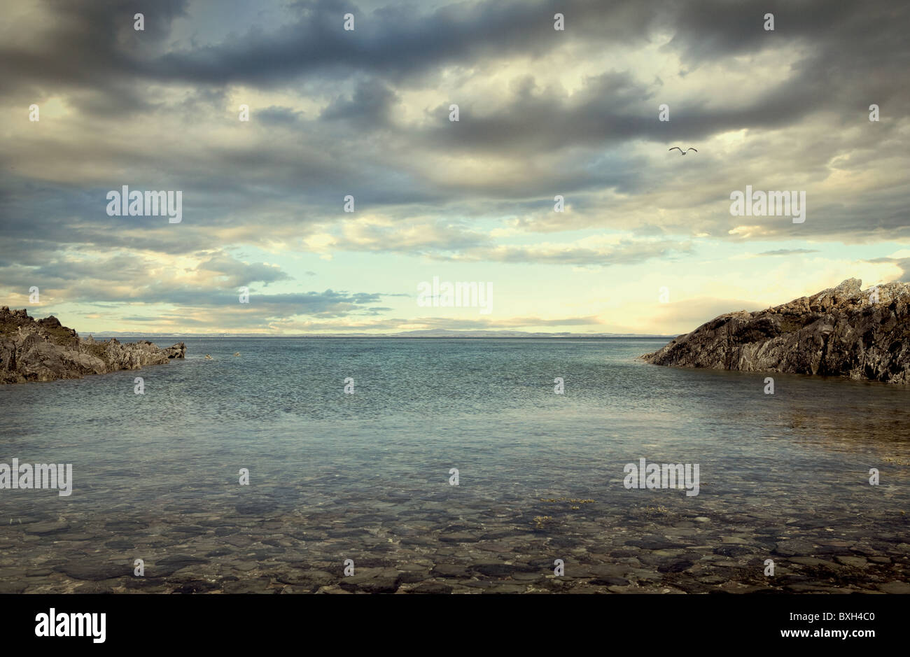 Scottish cove hi-res stock photography and images - Alamy