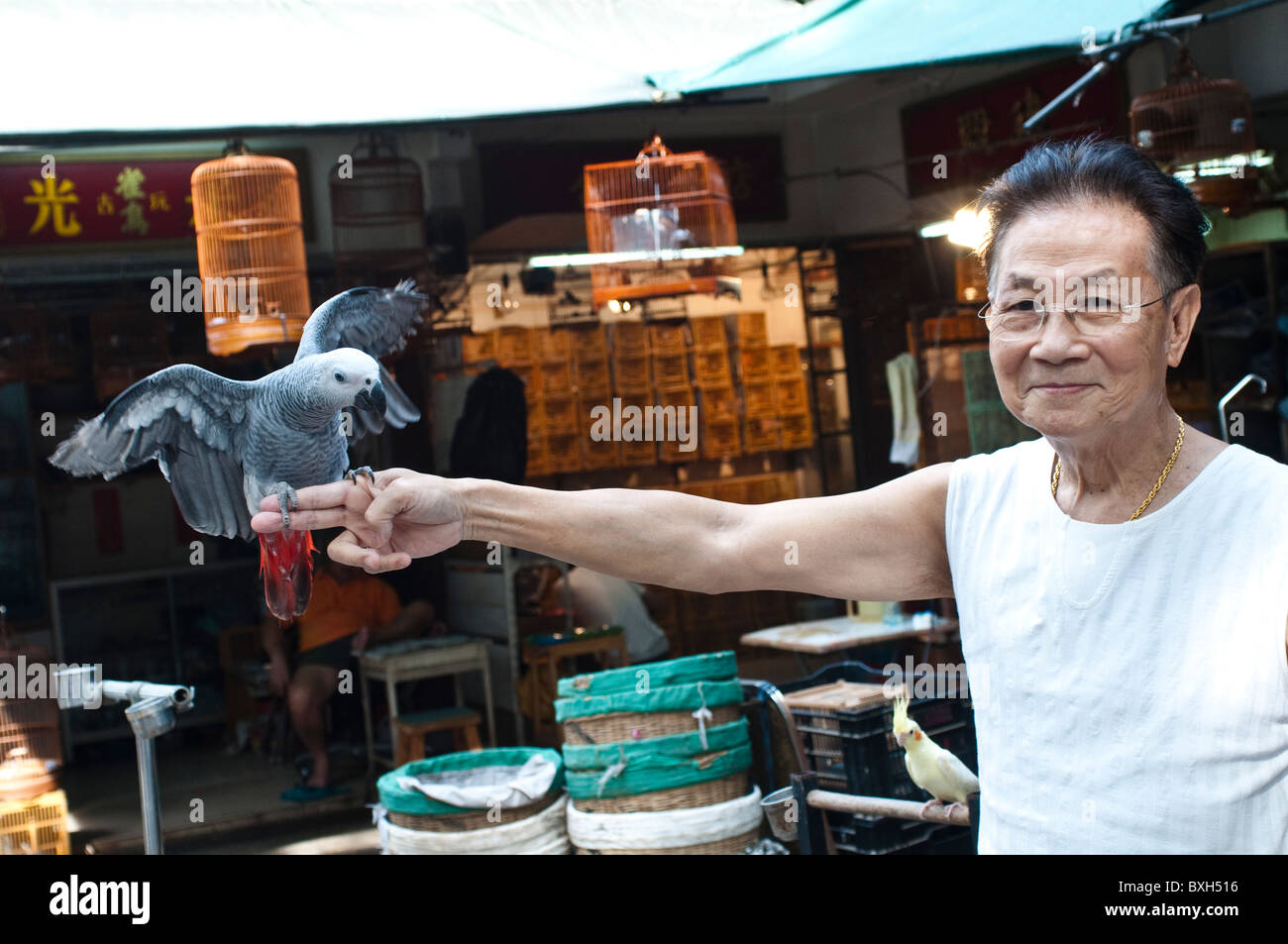 Trader with a bird on his hand at the Bird Market, Mong Kok, Kowloon ...