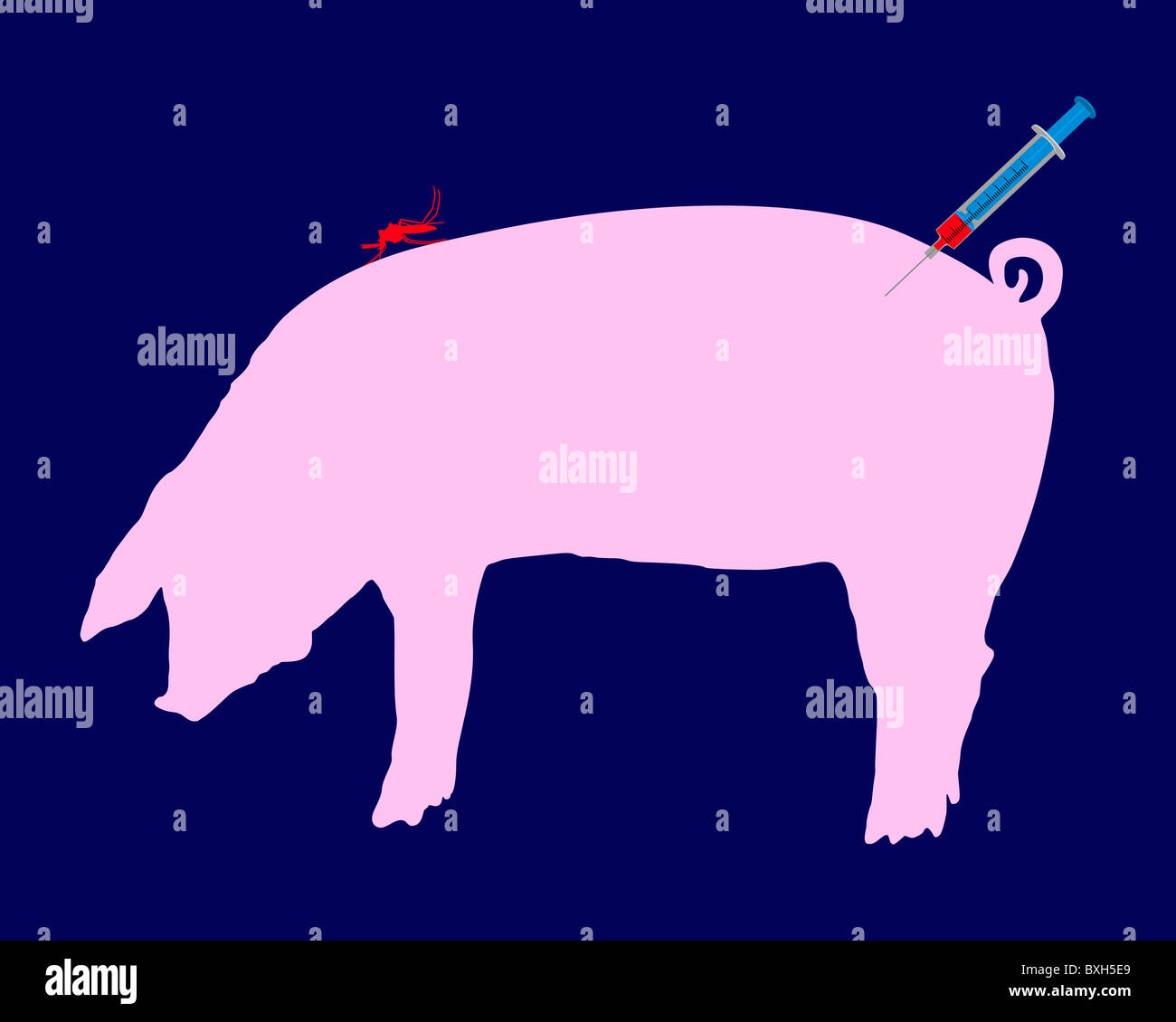 Pig bites hi-res stock photography and images - Alamy