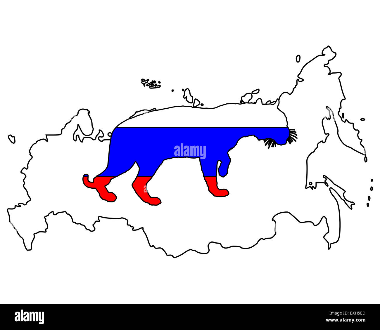 Tiger illustration russia hi-res stock photography and images - Alamy