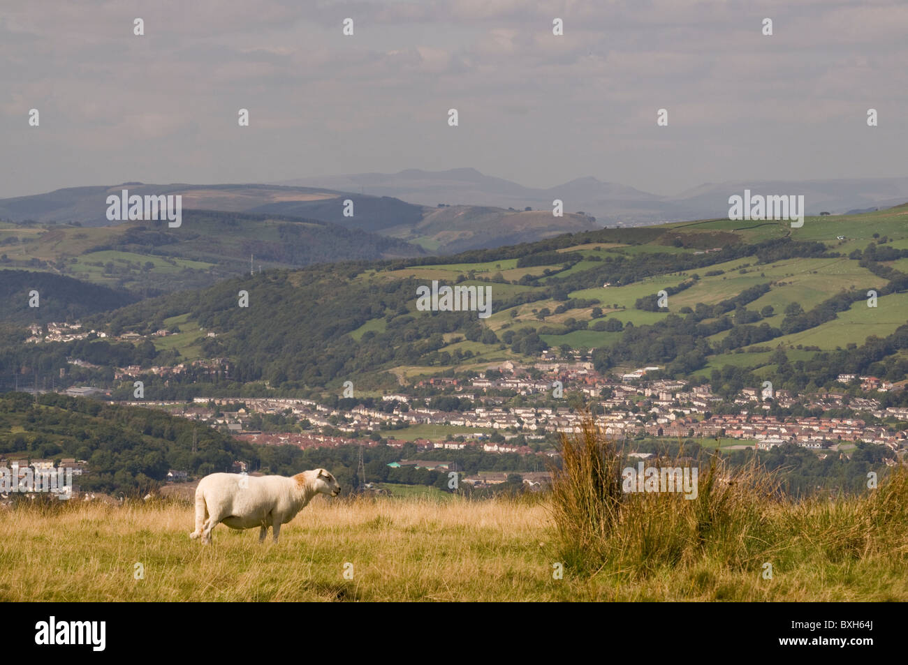 Landscape view from the Garth mountain, Pentyrch, Cardiff, towards ...