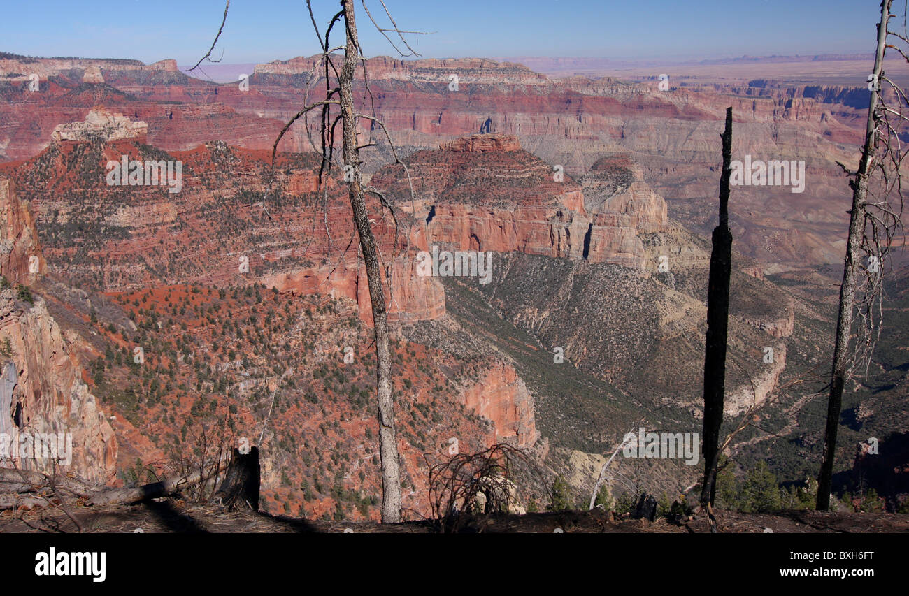 Grand Canyon North Rim View Stock Photo - Alamy