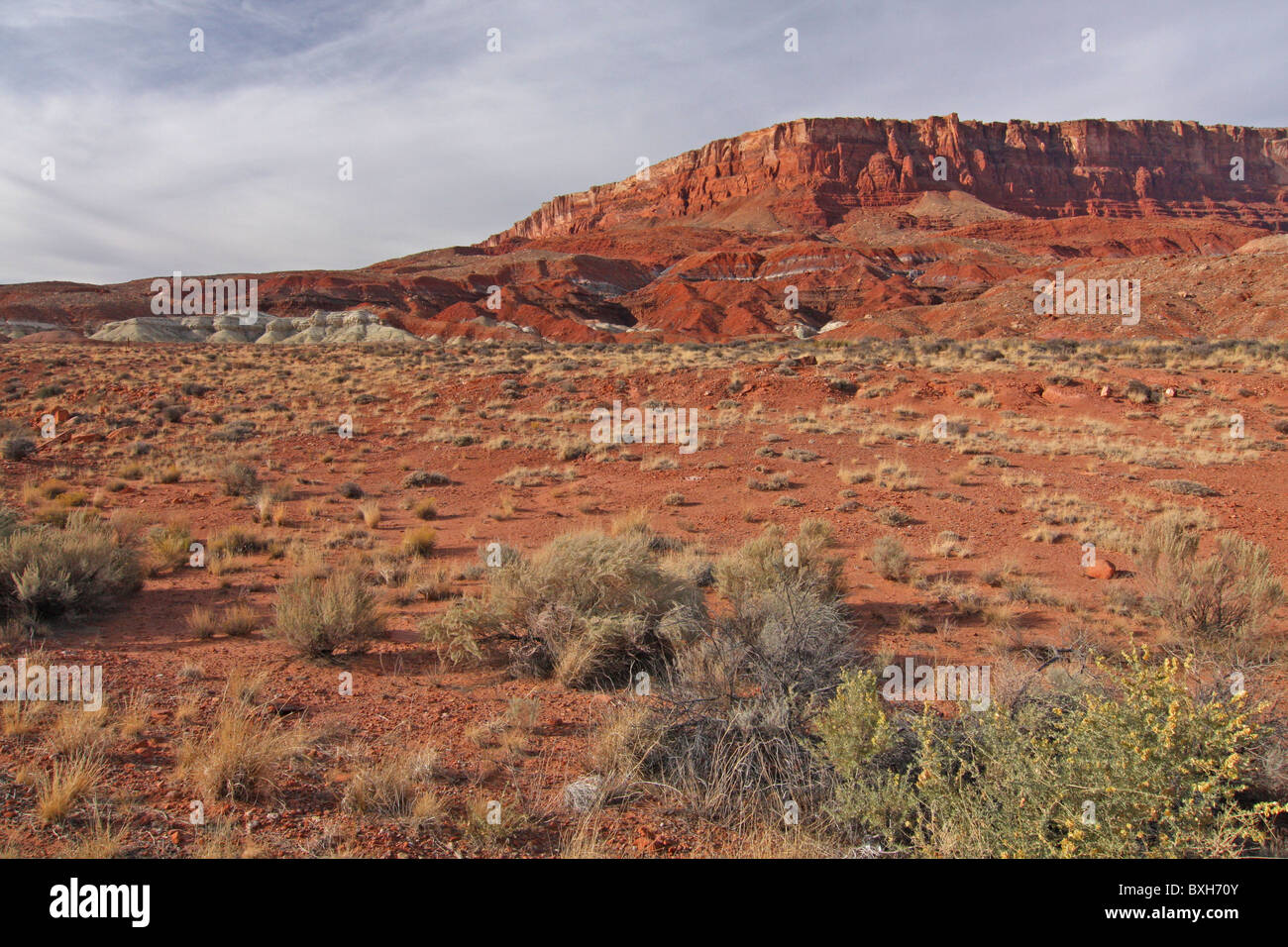 Arizona Desert View Stock Photo - Alamy