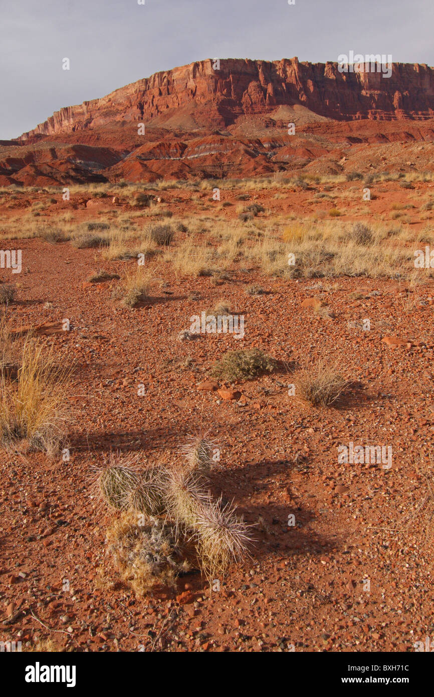 Arizona Desert View Stock Photo - Alamy