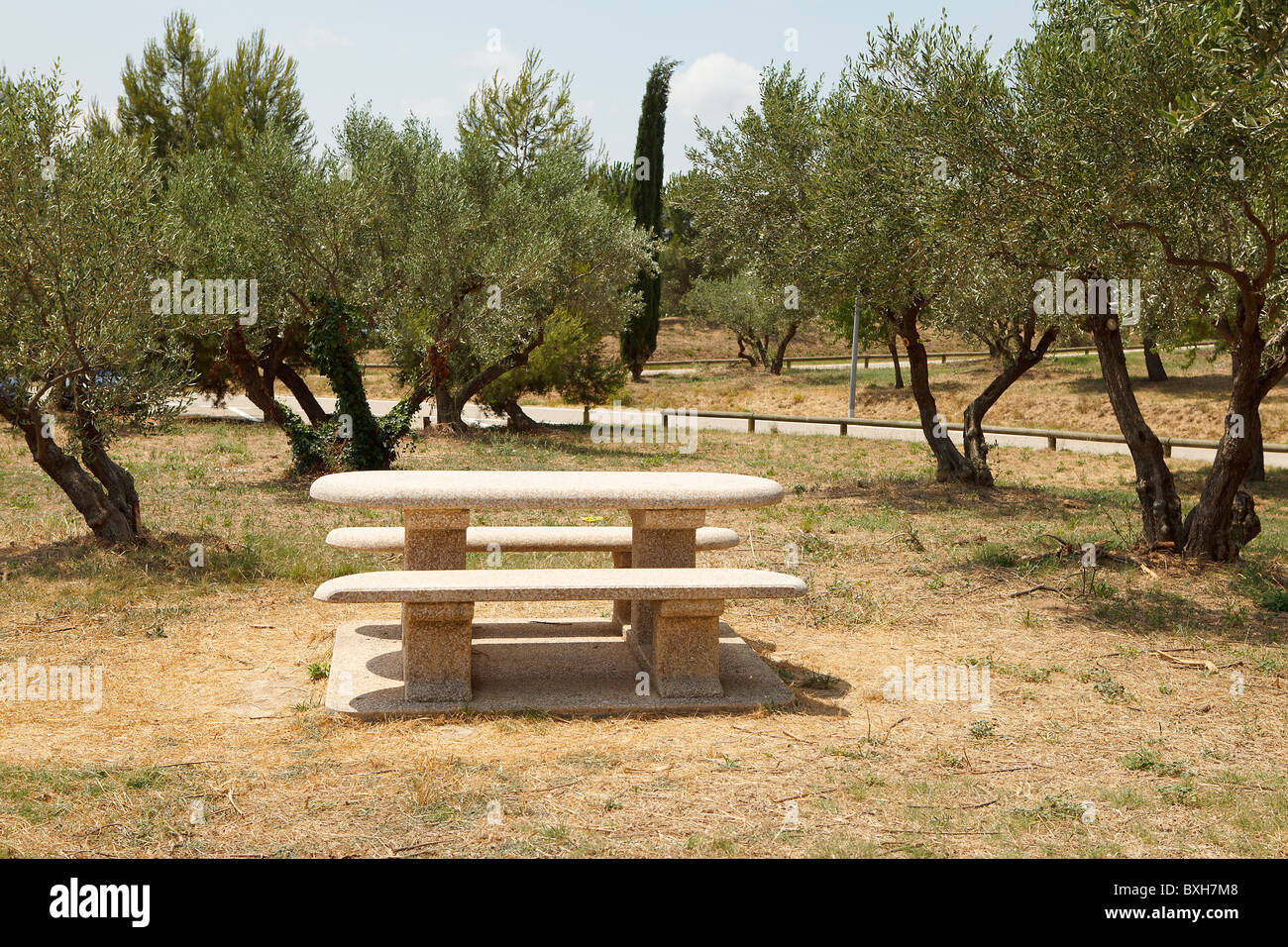 French picnic table in the nature Stock Photo - Alamy