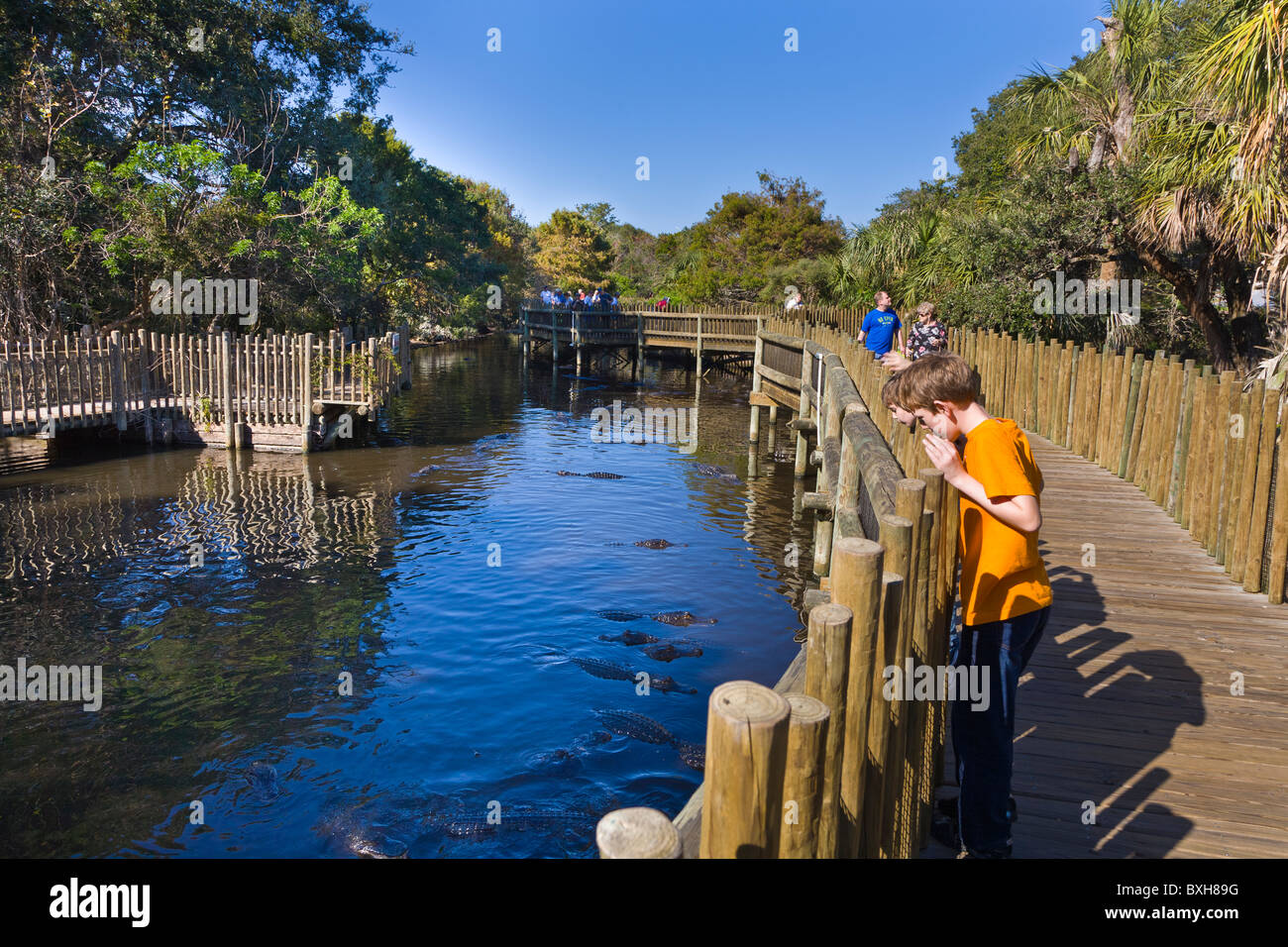 Do not feed alligators kids hi-res stock photography and images - Alamy
