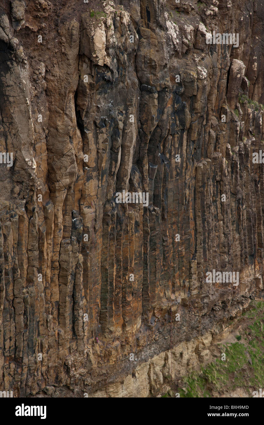 Columnar basalt above the Pacific Ocean at Otago peninsula Säulenbasalt ...