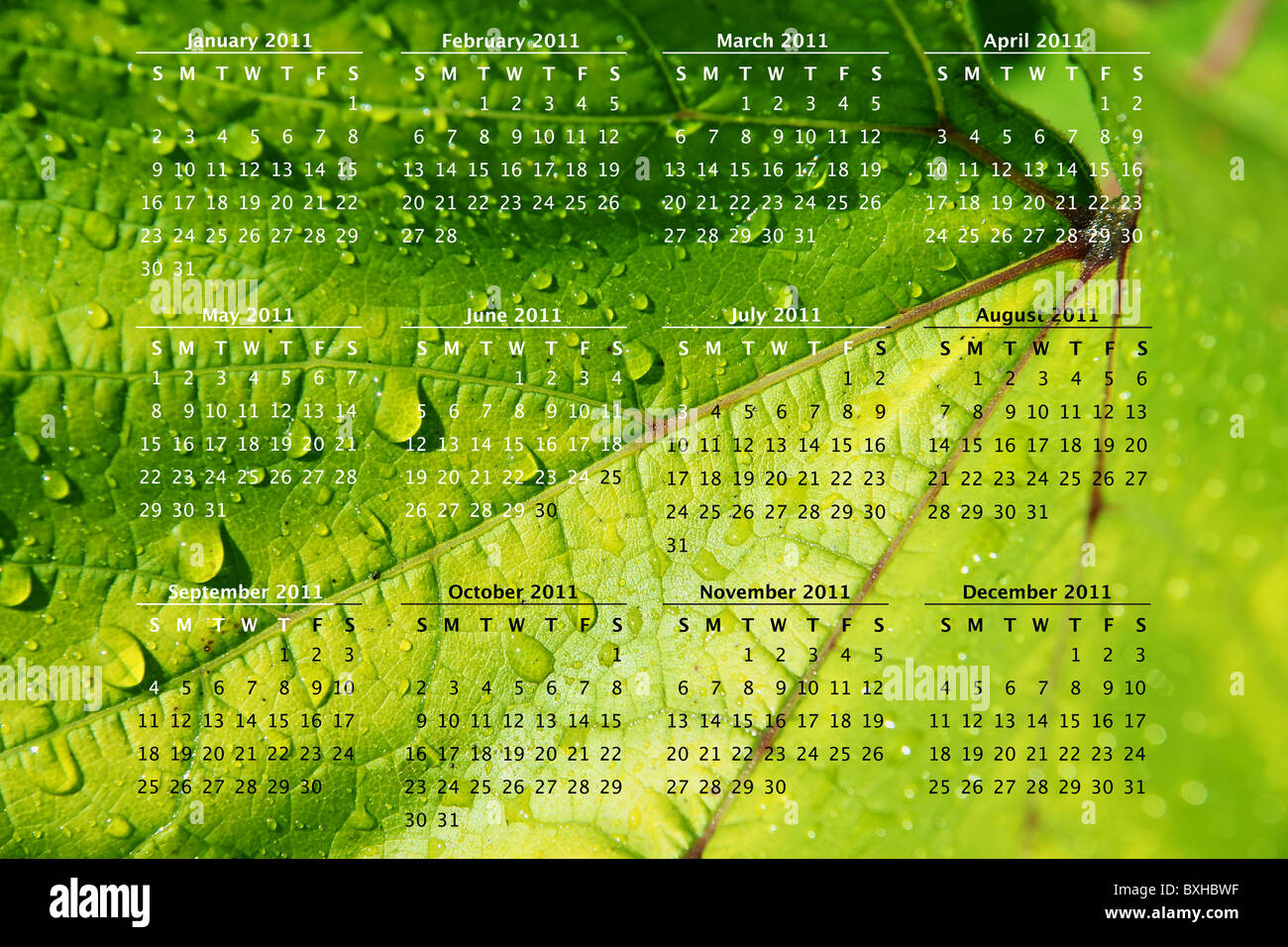 Leaf calendar hi-res stock photography and images - Alamy