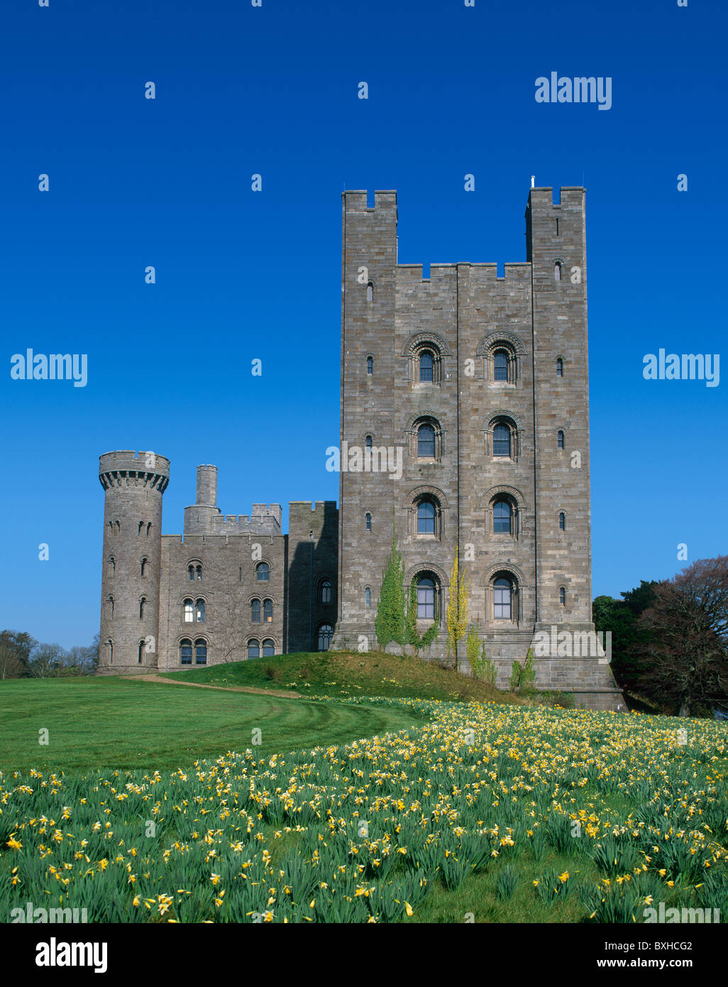 Penrhyn castle, north wales hi-res stock photography and images - Alamy