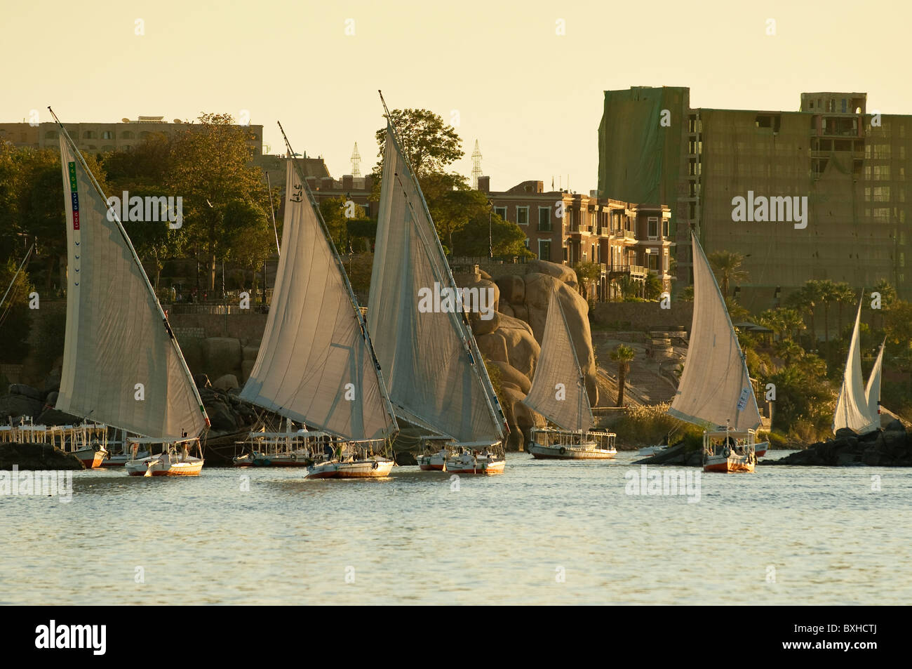 Egypt, Aswan. Felucca sailing on the Nile near Aswan Stock Photo - Alamy