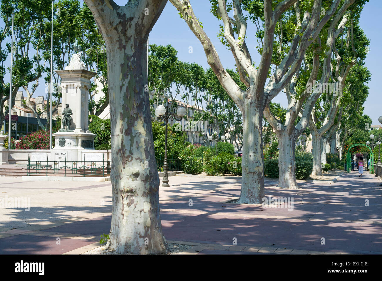 Town Square and War Memorial Shaded by Plane Trees in Narbonne France ...