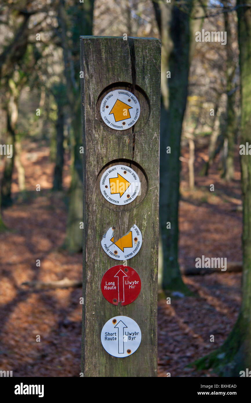 Wooden marker post with arrows hi-res stock photography and images - Alamy