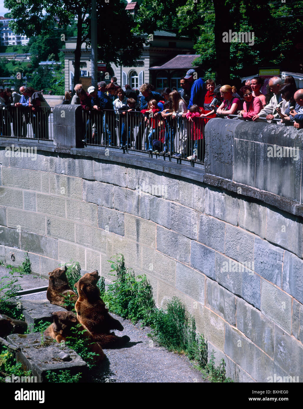 Bear pit hi-res stock photography and images - Alamy