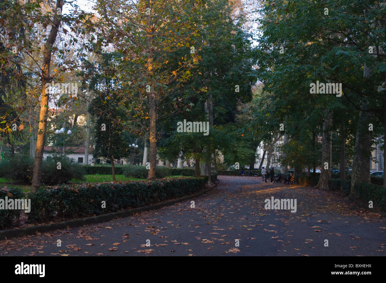 Dazeglio hi-res stock photography and images - Alamy