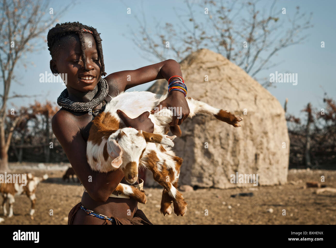 African goat farming hi-res stock photography and images - Alamy