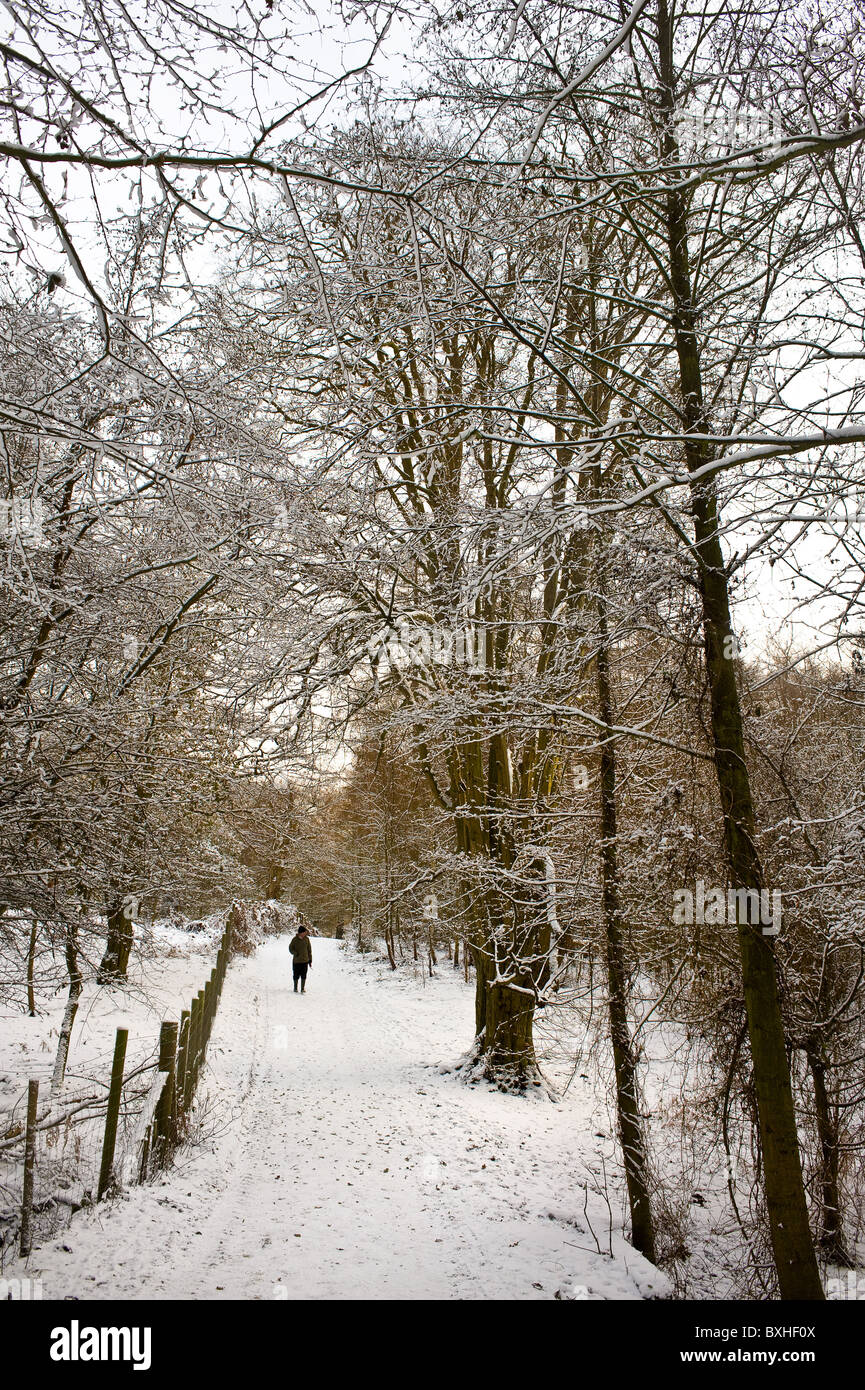 A person walking along a snow covered path in woodland. Photograph by ...