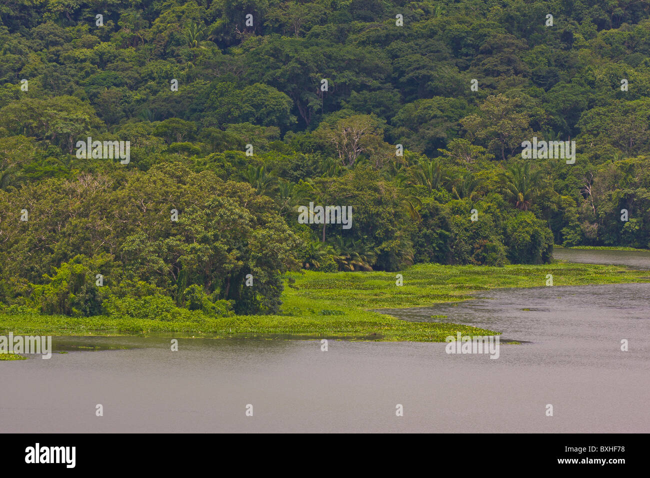 Panama canal zone hi-res stock photography and images - Alamy