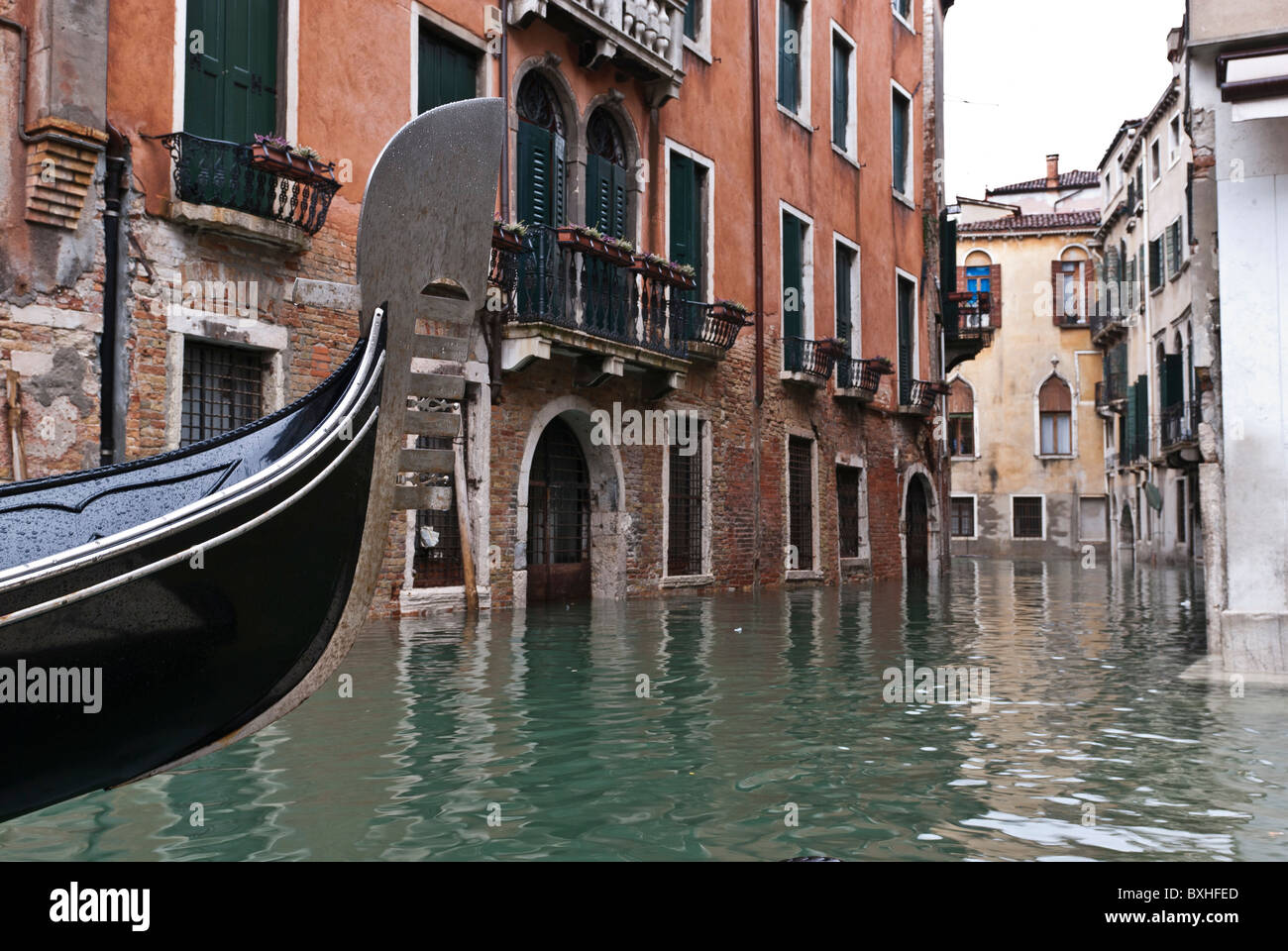 Gondola front and Canals, Venice, Italy, Europe Stock Photo - Alamy