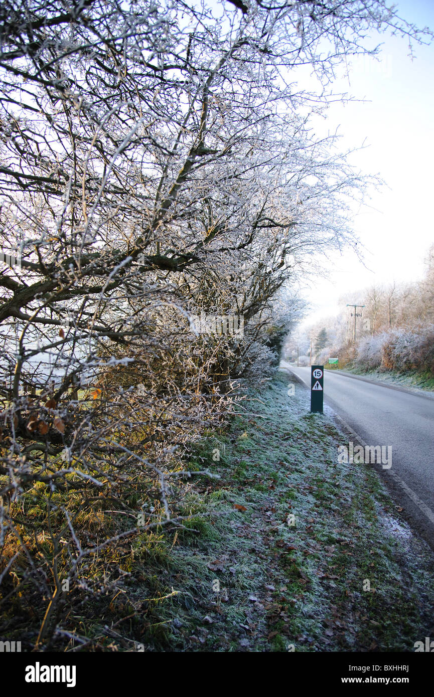 Wintry country roadside Stock Photo - Alamy