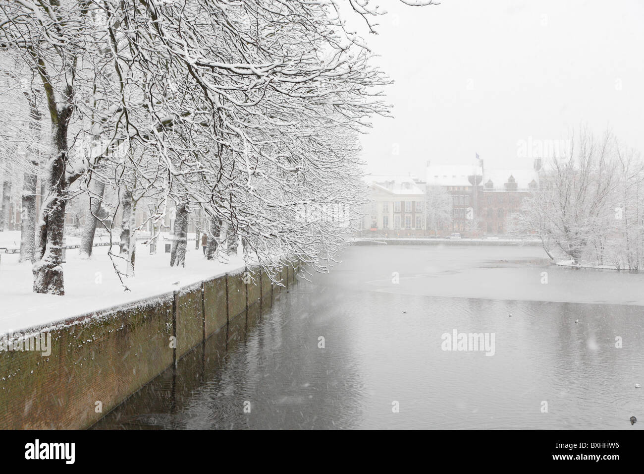 Park Near Dutch Parliament, Binnenhof, winter snow, The Hague ...